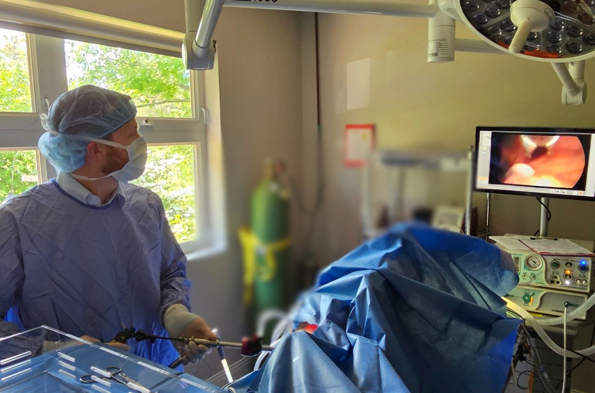 Laparoscopy At FVH | Falmouth Veterinary Hospital